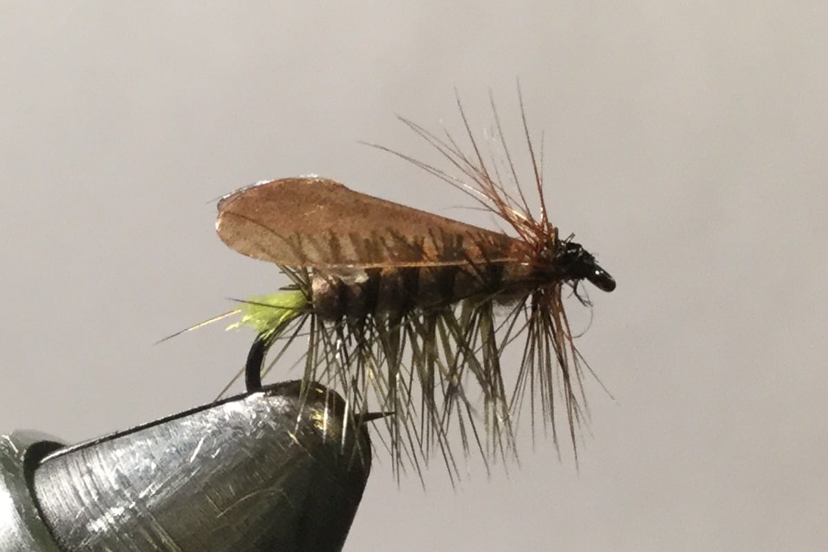 Epic Fly Tying: Egg-Laying Caddis Dry Fly – Frosty Fly