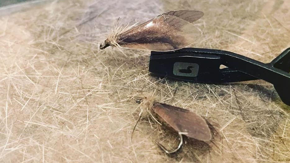 Fly Tying with Steven Craig: Realistic Caddis Fly – Frosty Fly