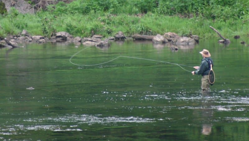 Fly Talk: Tips and Techniques for Better Streamer Fishing – Frosty Fly