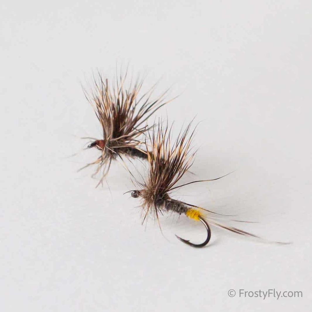 Products – Frosty Fly