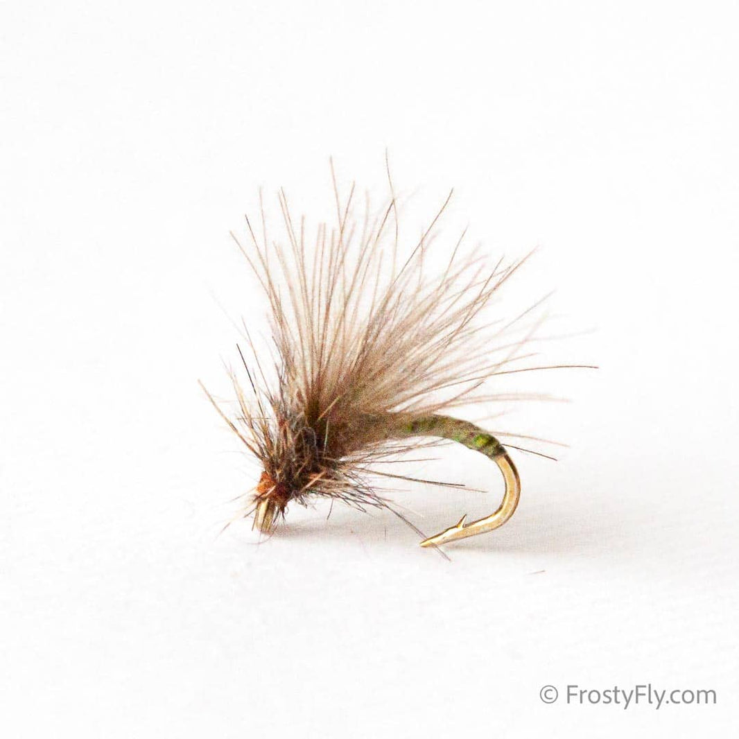 Classic Dry Flies | Proven Mayfly & Caddis Patterns for Trout – Frosty Fly