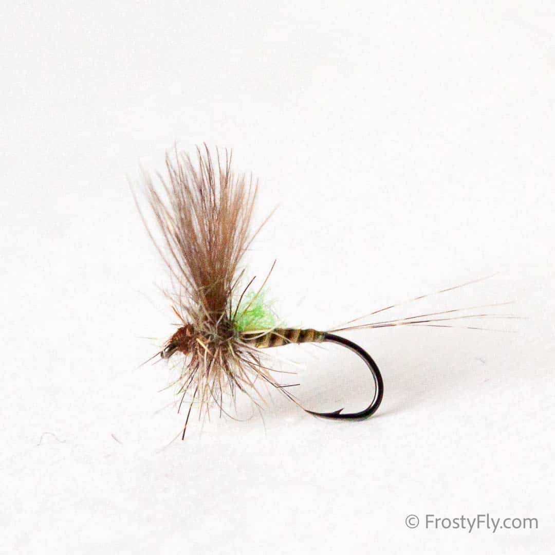 CDC Quill Mayfly – Frosty Fly