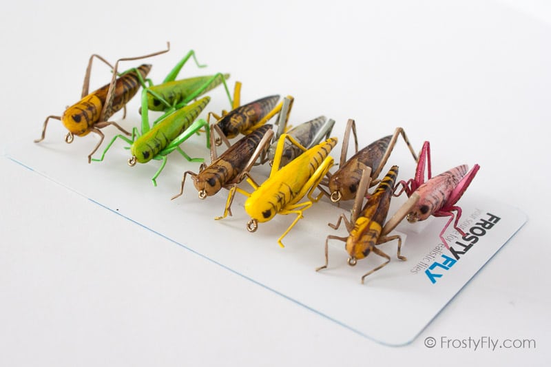 Realistic Flies - HOPPER Selection of 10 Flies - Assorted – Frosty Fly